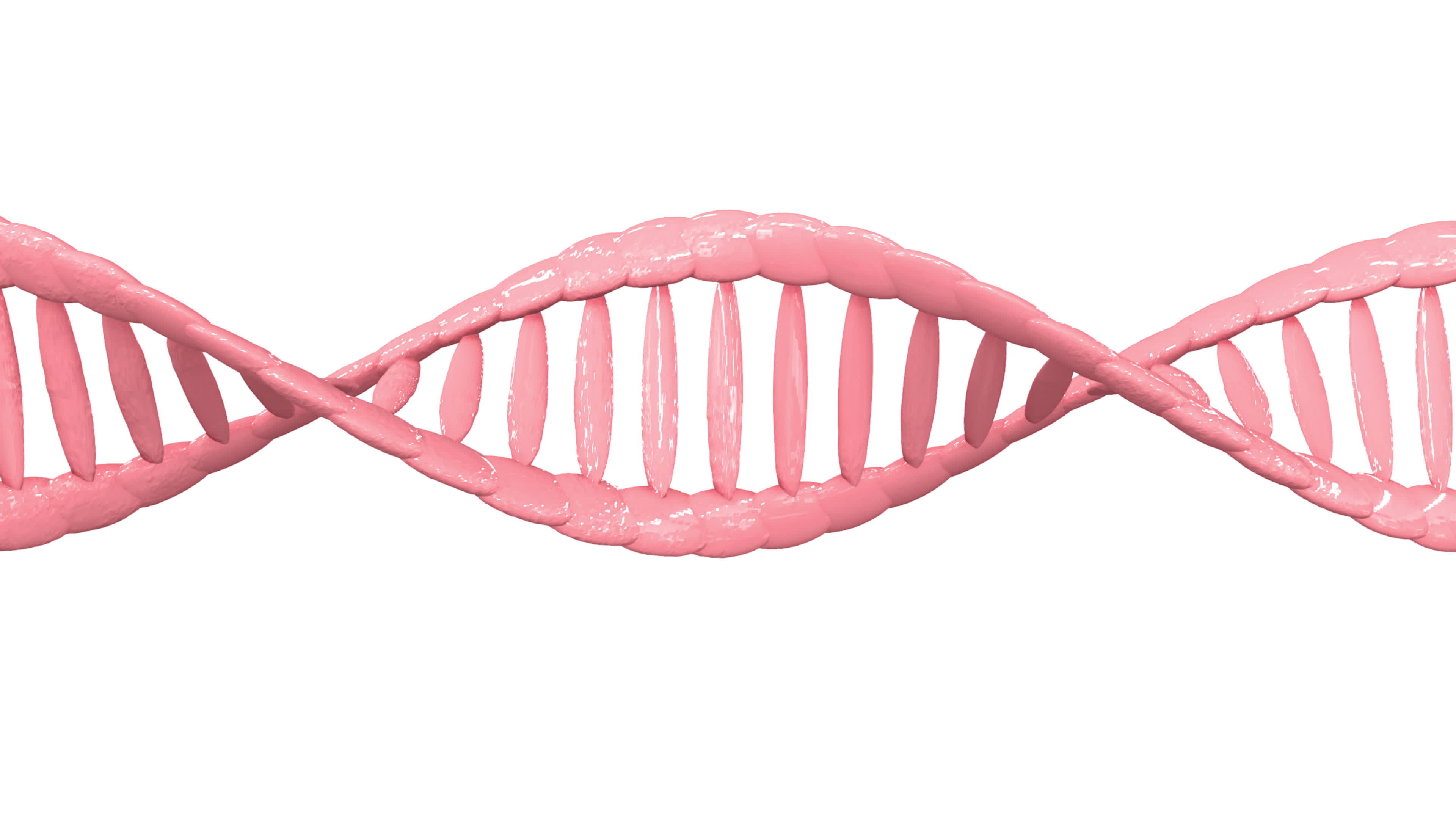 dna strand, Realistic DNA strand 3D animation,Concept animation of ...