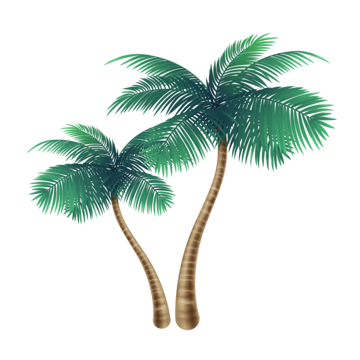 Coconut Tree PNGs for Free Download