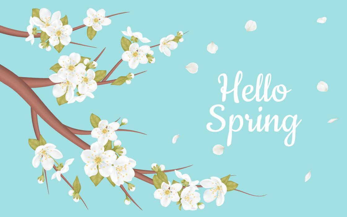 Spring Vector Art, Icons, and Graphics for Free Download