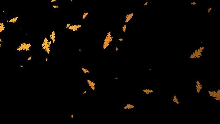 Falling Leaves Animation Stock Video Footage for Free Download
