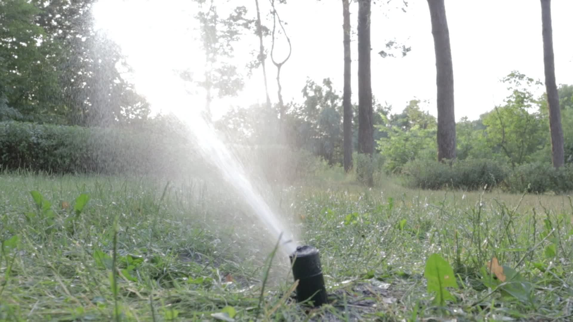 Lawn Irrigation System Working In A Green Park Spraying The Lawn With Water In Hot Weather