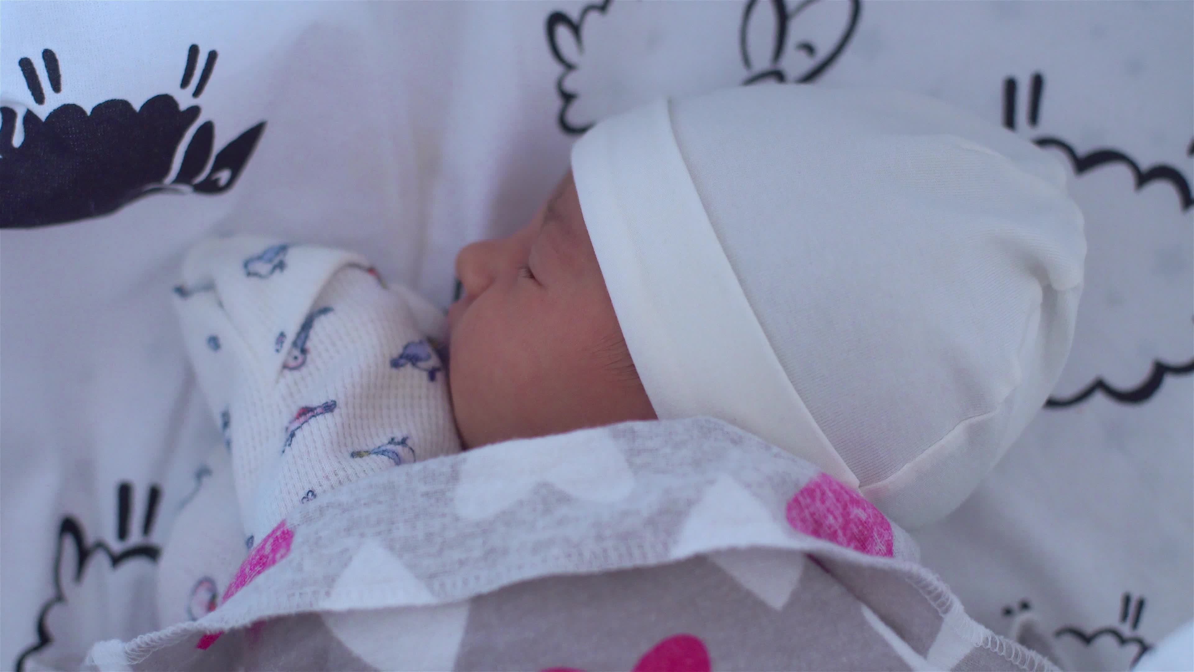 Cutie Stock Video Footage for Free Download