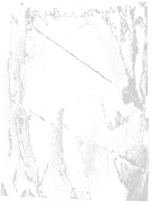 Pencil Sketch Texture PNGs for Free Download