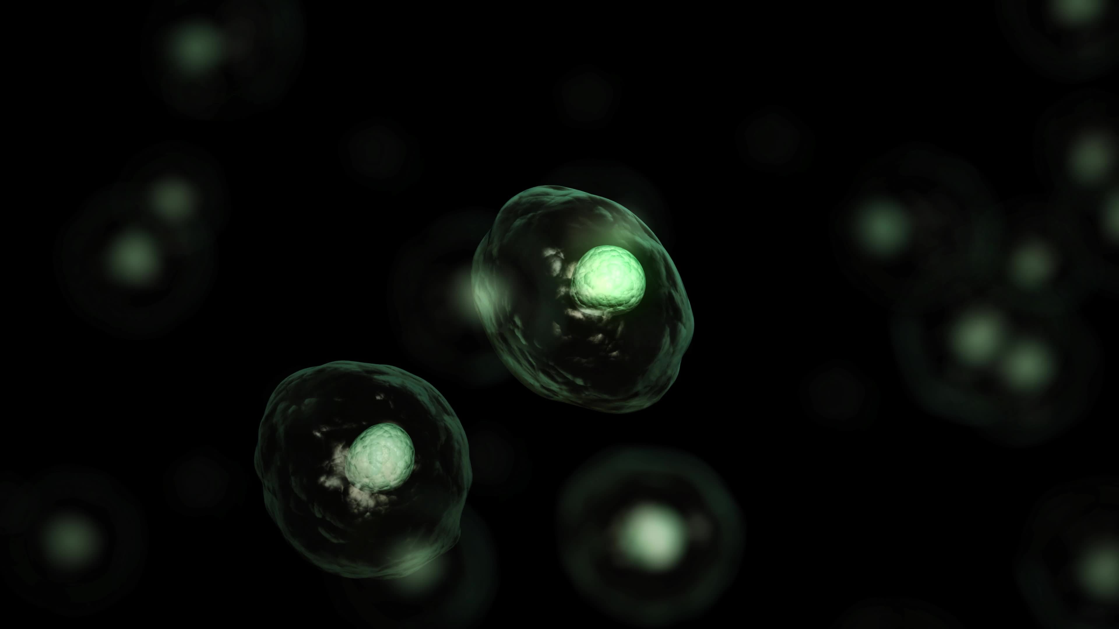 3d rendering of Cell biology deals with the smallest unit of life ... 3d rendering of Cell biology deals with the smallest unit of life ...