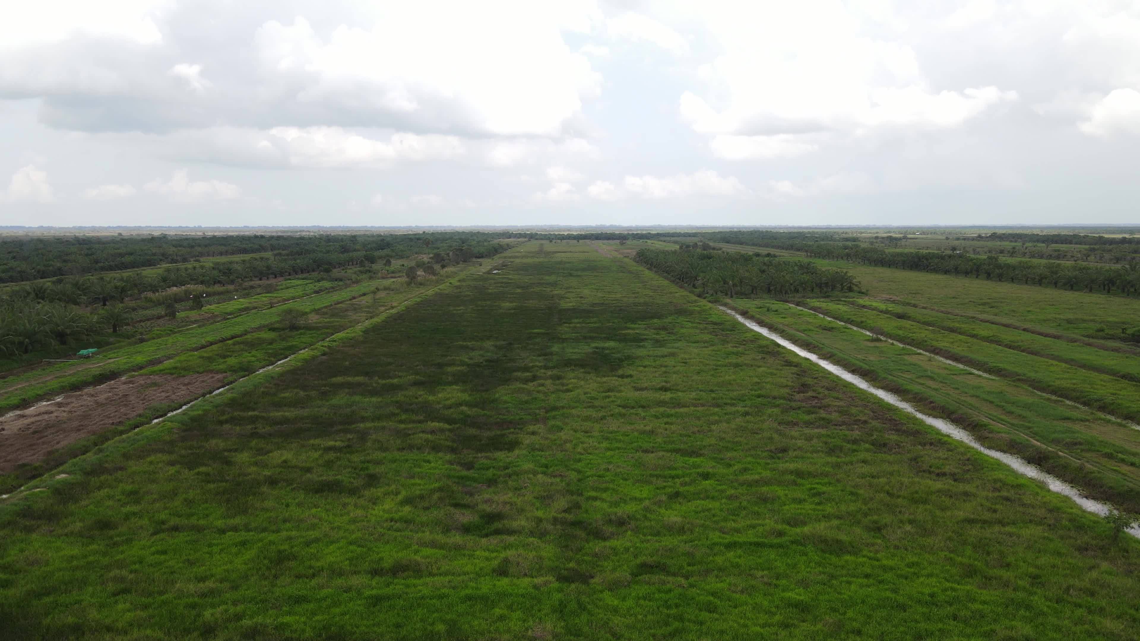 Drone View Grassland 18879444 Stock Video At Vecteezy