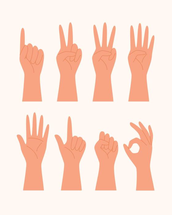 Counting Hands Vector Art, Icons, and Graphics for Free Download