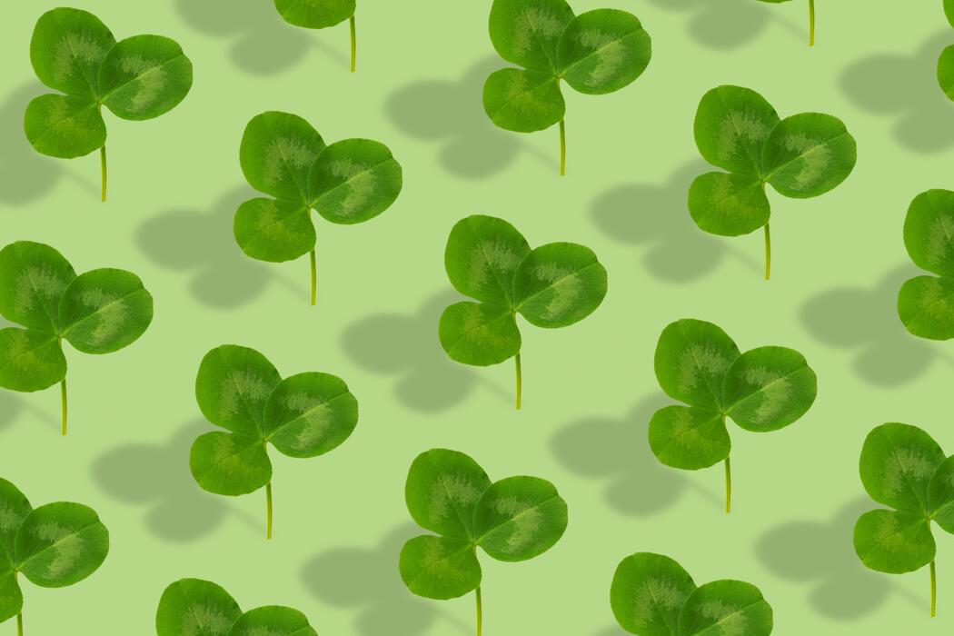 Clover Leaf Pattern Stock Photos, Images and Backgrounds for Free Download