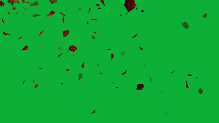 Broken Glass Green Screen Stock Video Footage For Free Download