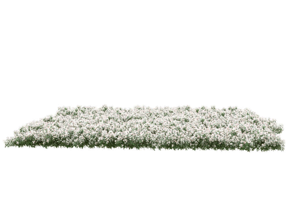 Snow Ground PNGs for Free Download