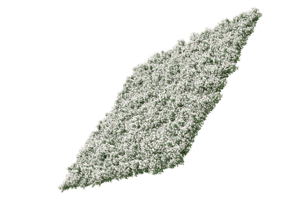 Snow Ground PNGs for Free Download