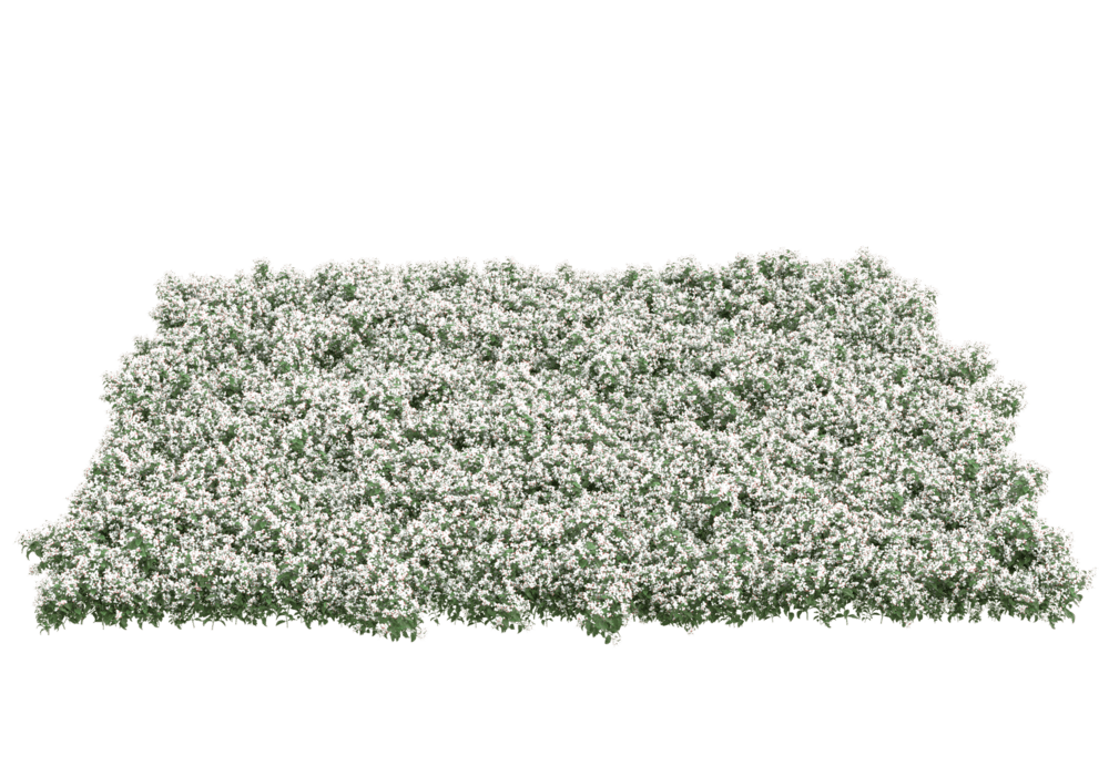 Snow Ground PNGs for Free Download