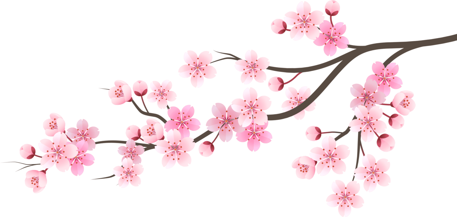 Sakura PNG para descargar gratis
