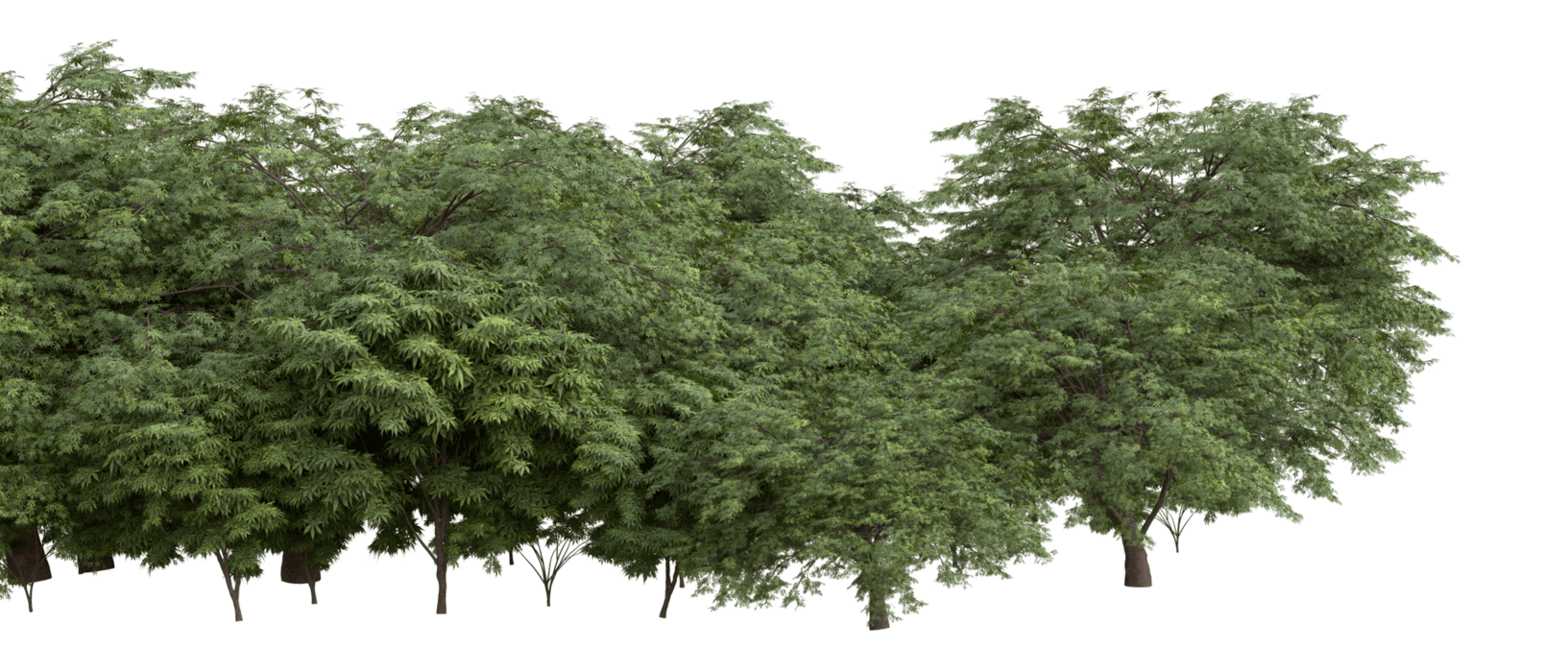 Tree Architecture PNGs for Free Download