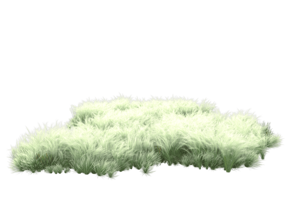 Snow Ground PNGs for Free Download