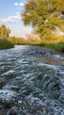 Water Flow Animation Stock Video Footage for Free Download