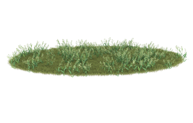 Grass Top View Pngs For Free Download
