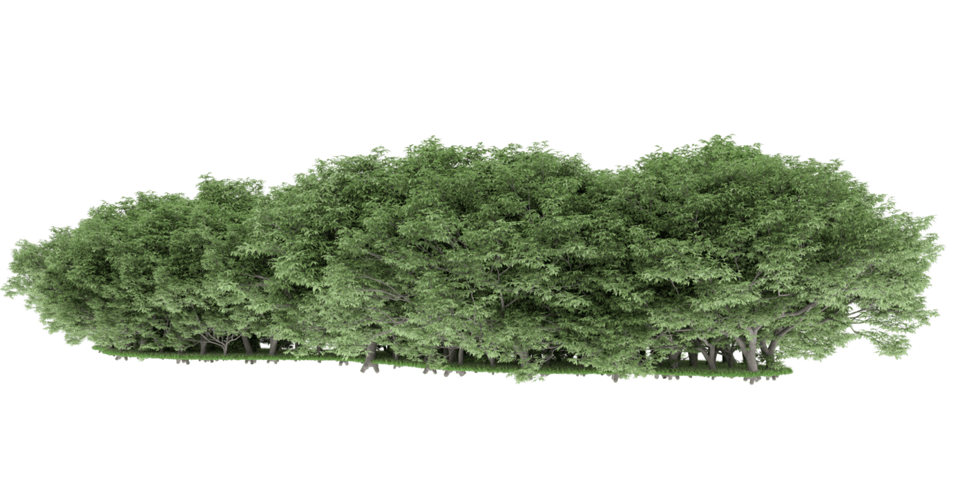 Tree Architecture PNGs for Free Download