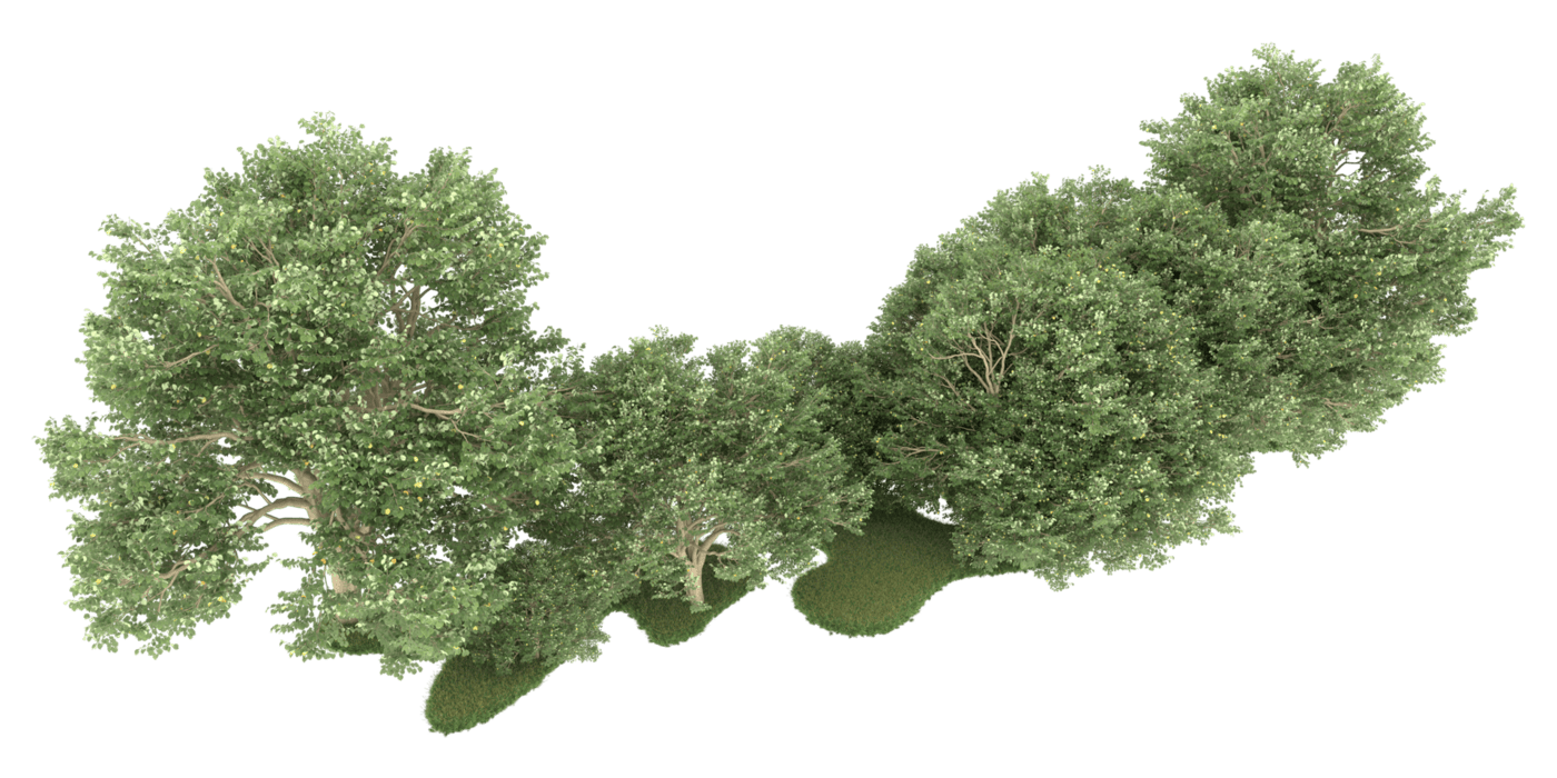 Tree Architecture PNGs for Free Download