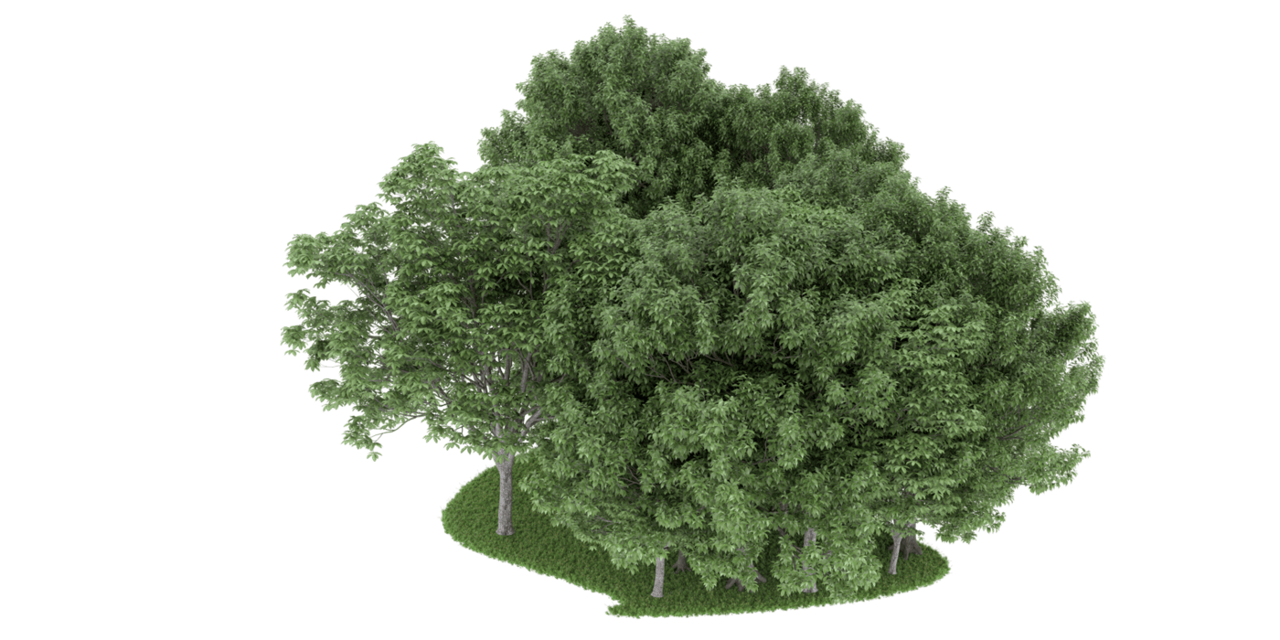 Isometric Tree PNGs for Free Download