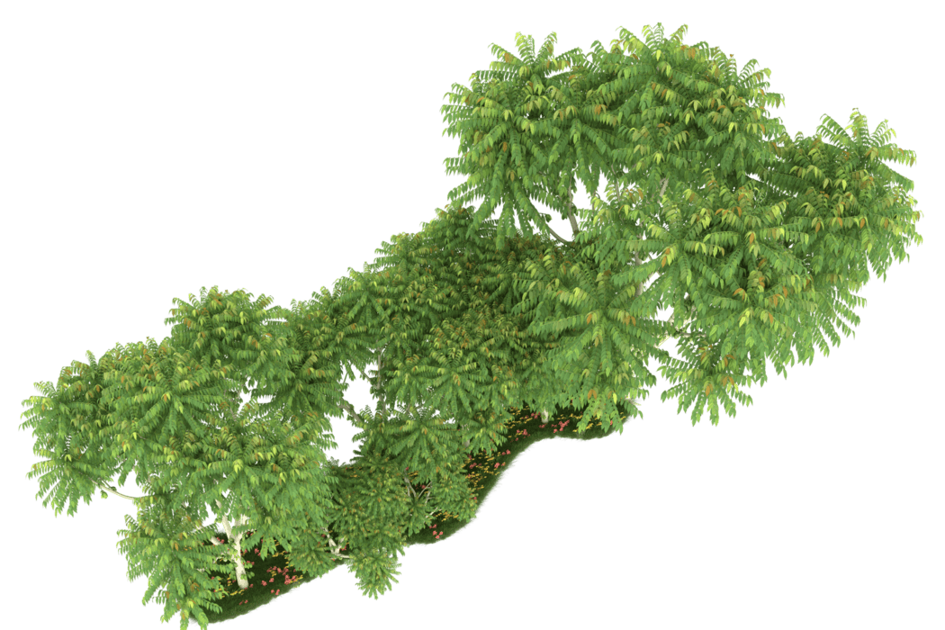 Isometric Tree PNGs for Free Download