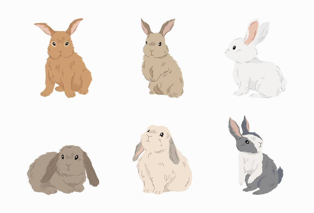 Rabbit Vector Art, Icons, and Graphics for Free Download