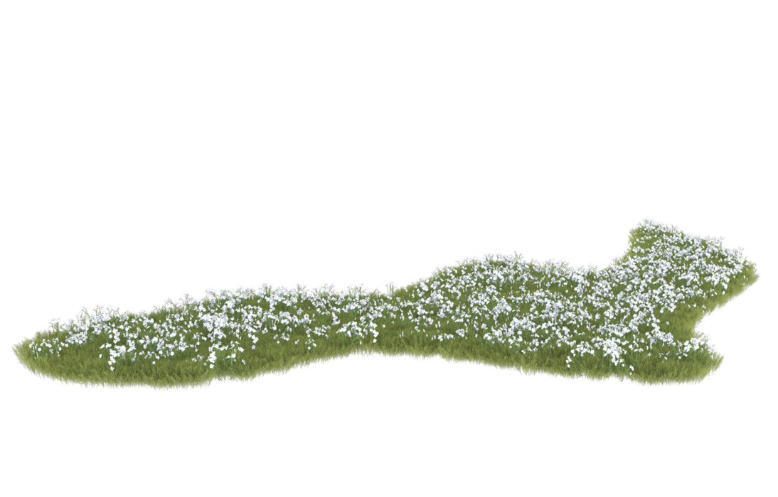 Snow Ground PNGs for Free Download