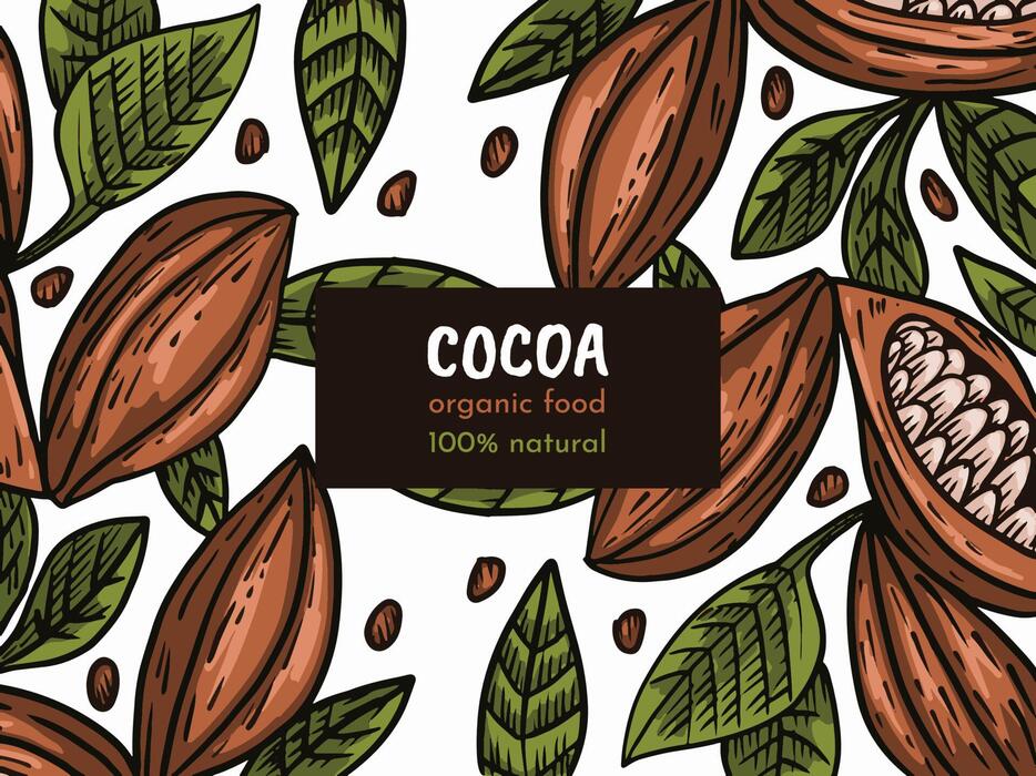 Cocoa Packaging Vector Art, Icons, and Graphics for Free Download