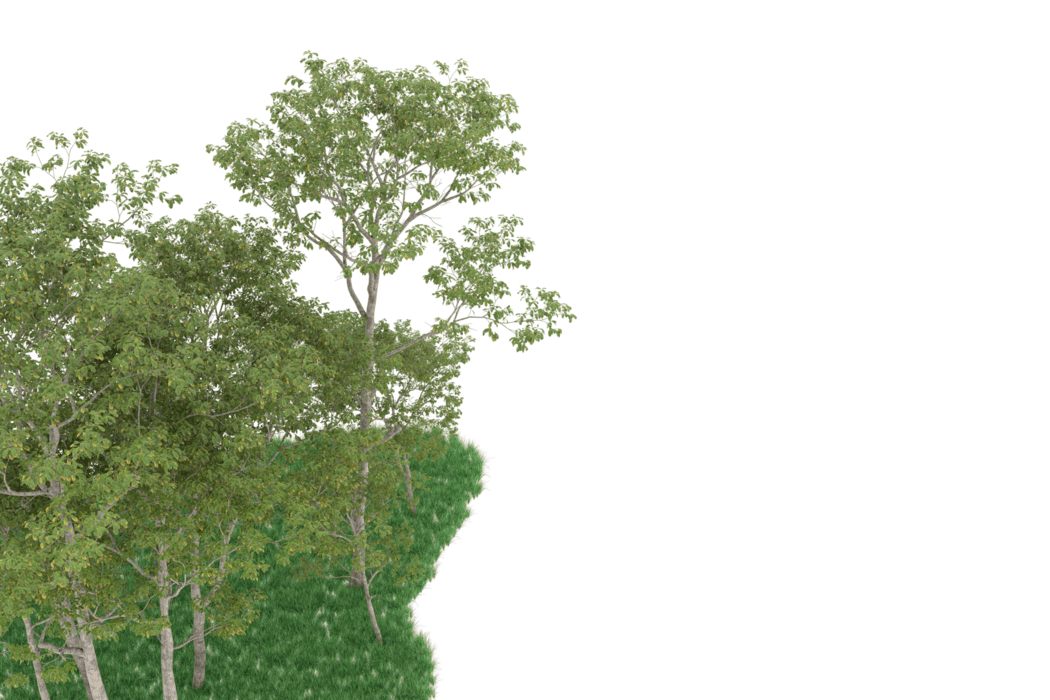 Trees Plan View PNGs for Free Download