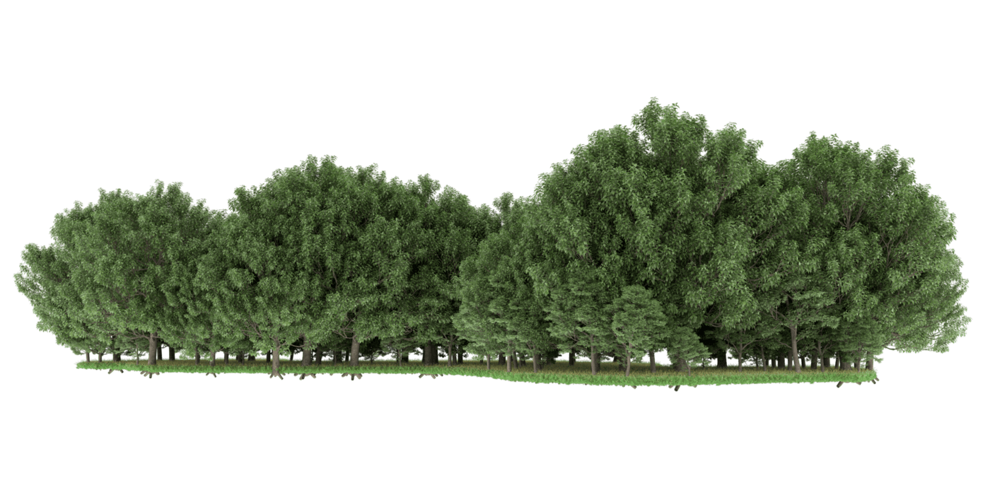 Tree Line PNGs for Free Download