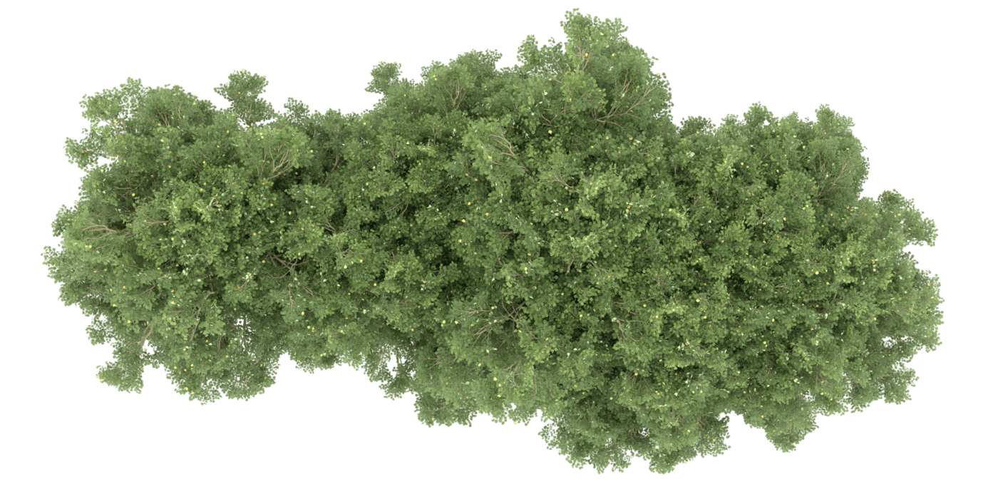 Birds Eye View PNGs for Free Download