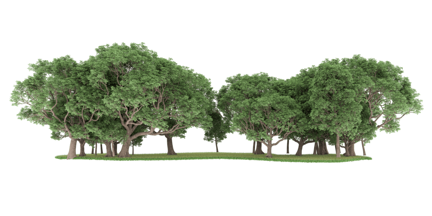 Tree Line PNGs for Free Download