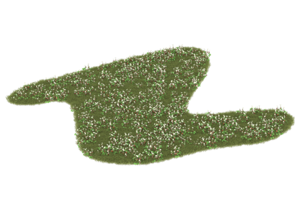 Grass Top View Pngs For Free Download