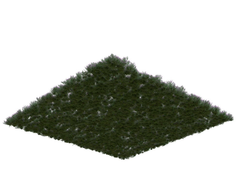 Snow Ground PNGs for Free Download