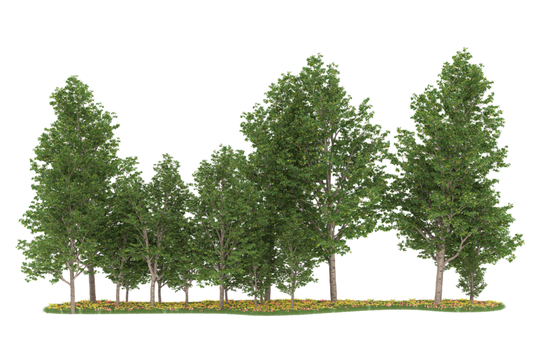 Row Of Trees Pngs For Free Download