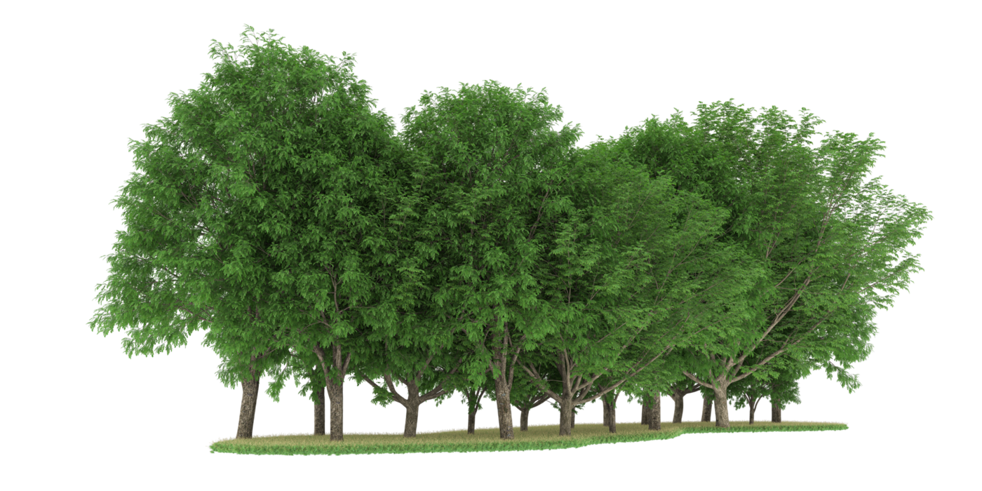 Row Of Trees Pngs For Free Download