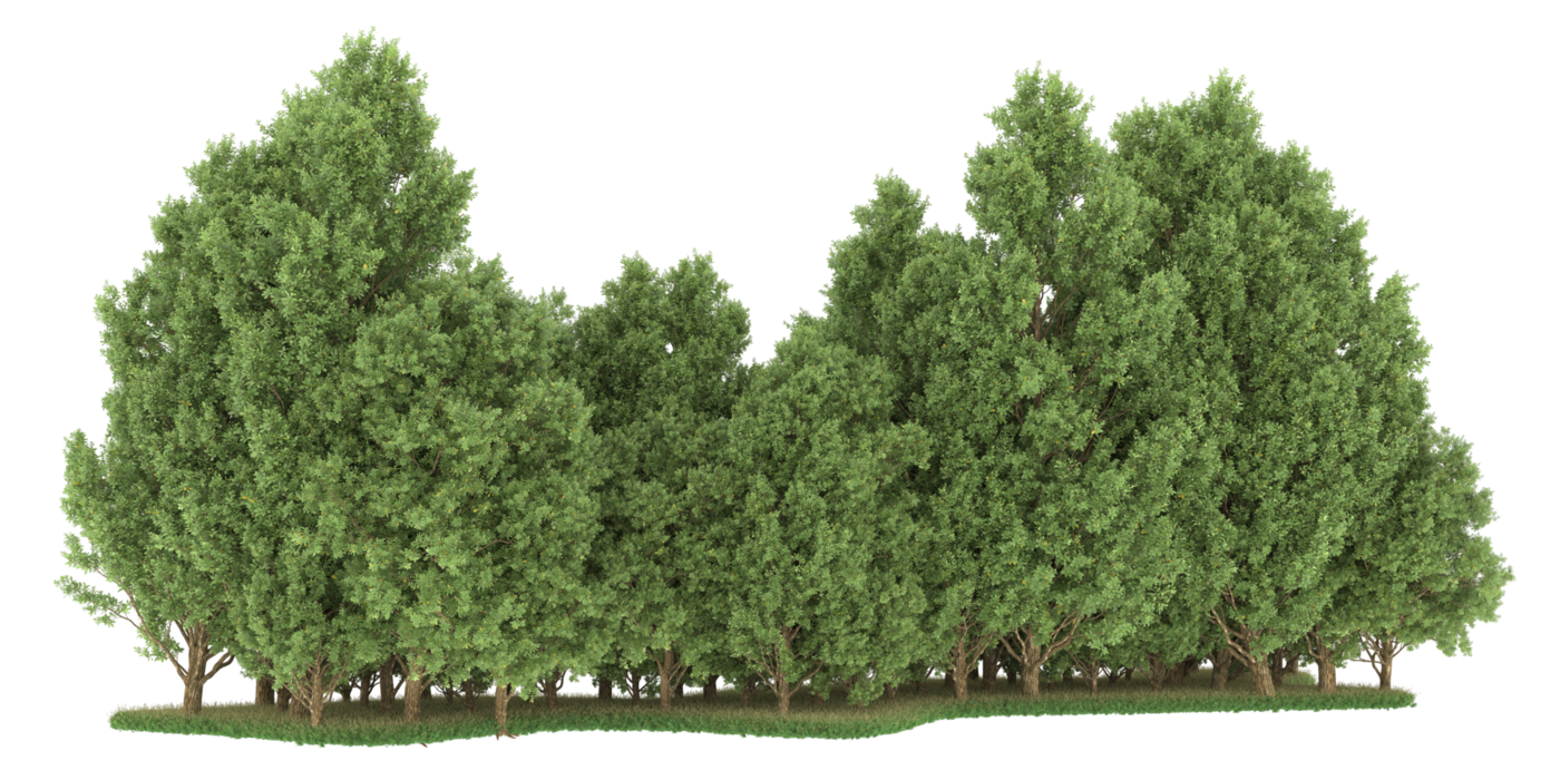 Row Of Trees Pngs For Free Download