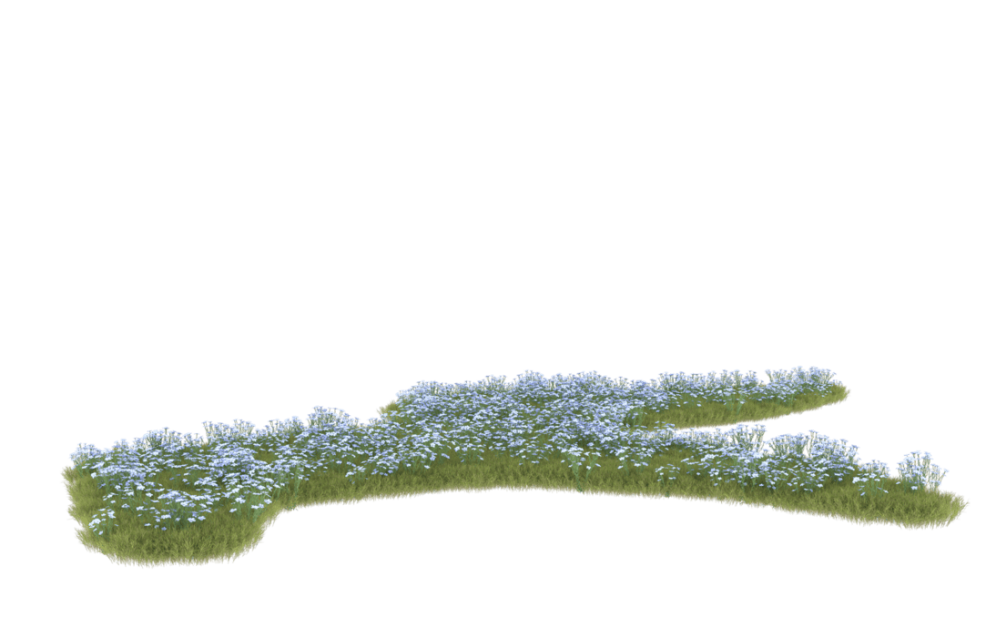 Snow Ground PNGs for Free Download