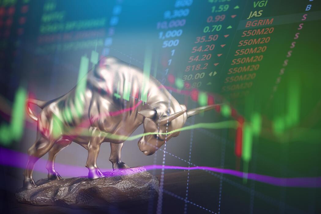 Trading Bull Stock Photos, Images and Backgrounds for Free Download