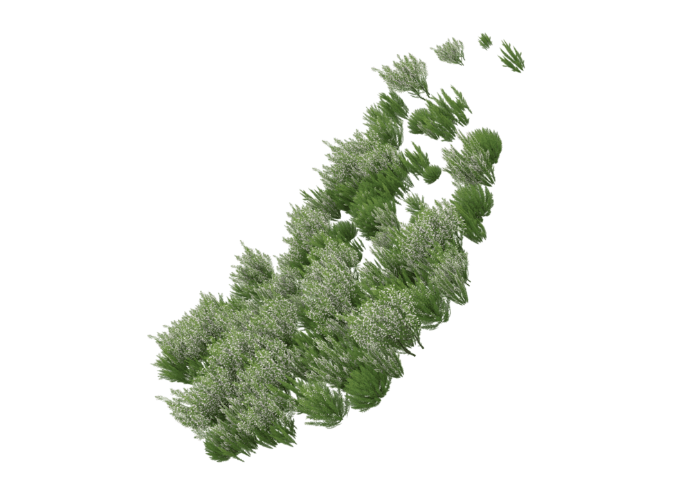 Isometric Tree PNGs for Free Download