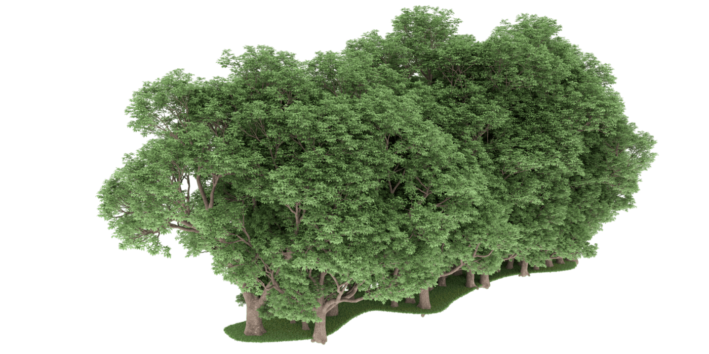 Trees Plan View PNGs for Free Download