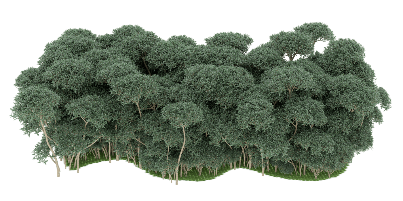 Tree Architecture PNGs for Free Download