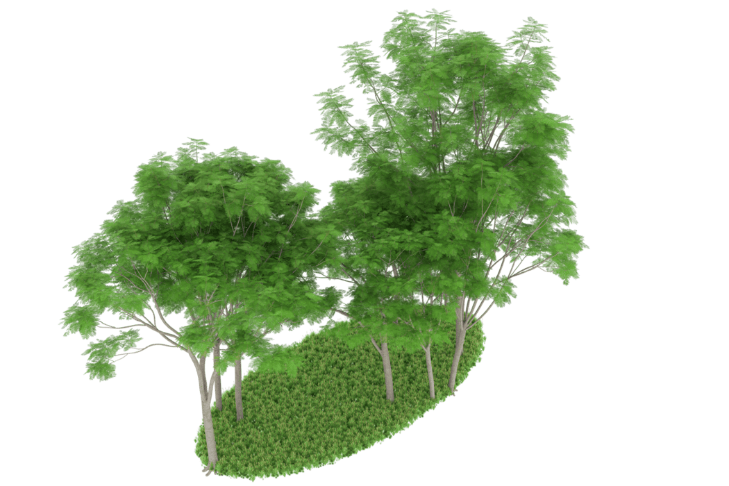 Trees Plan View PNGs for Free Download