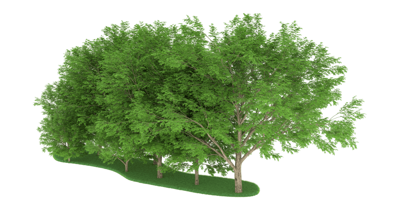 Trees Plan View PNGs for Free Download