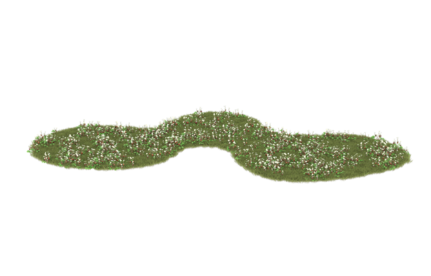 Grass Top View Pngs For Free Download