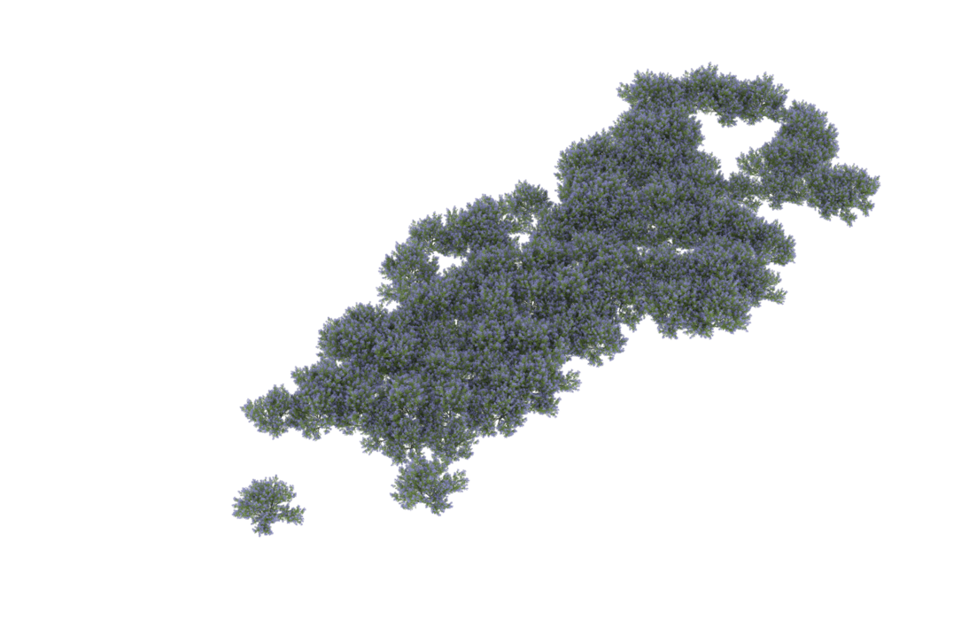 Isometric Tree PNGs for Free Download