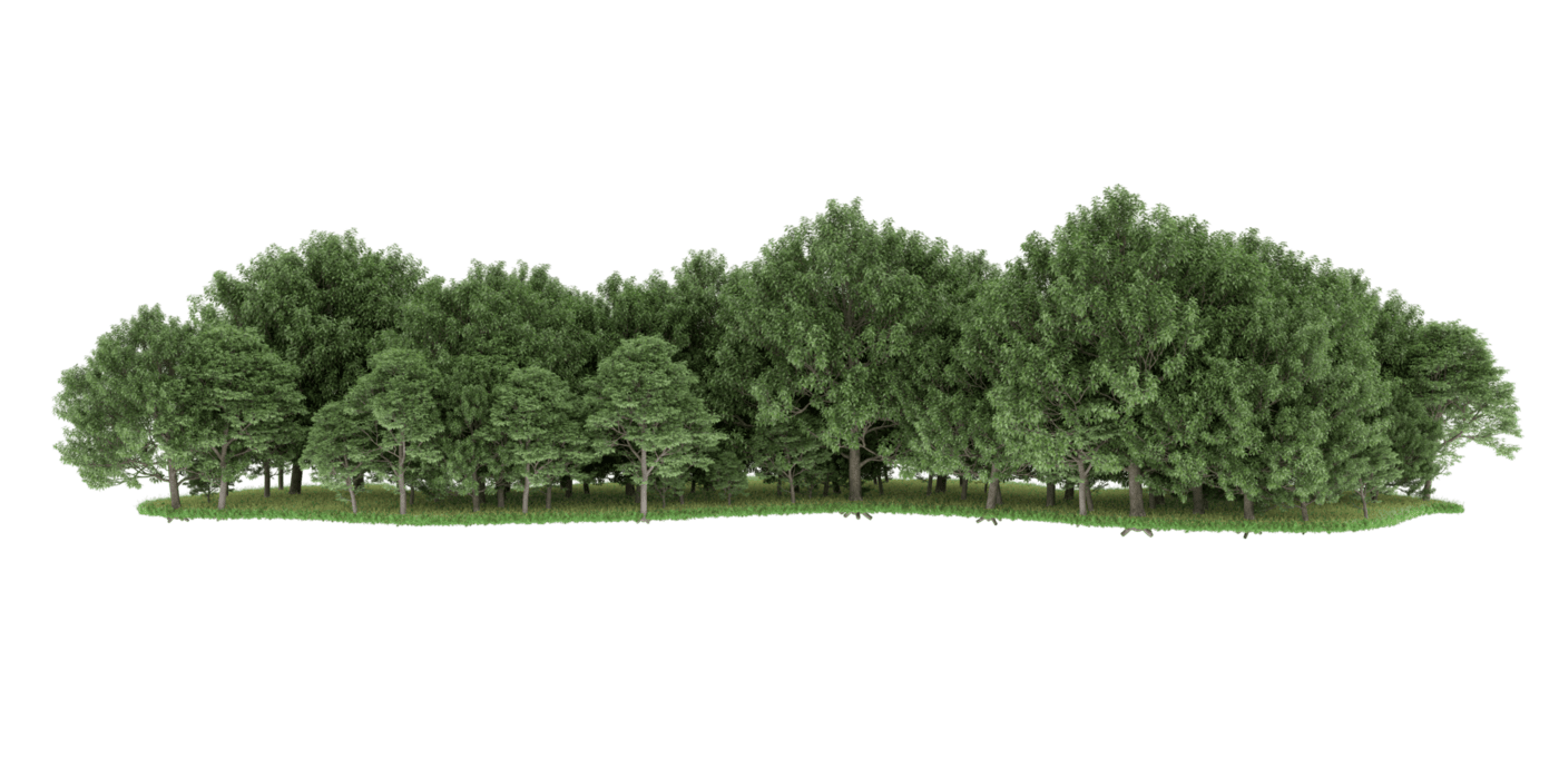 Tree Line PNGs for Free Download