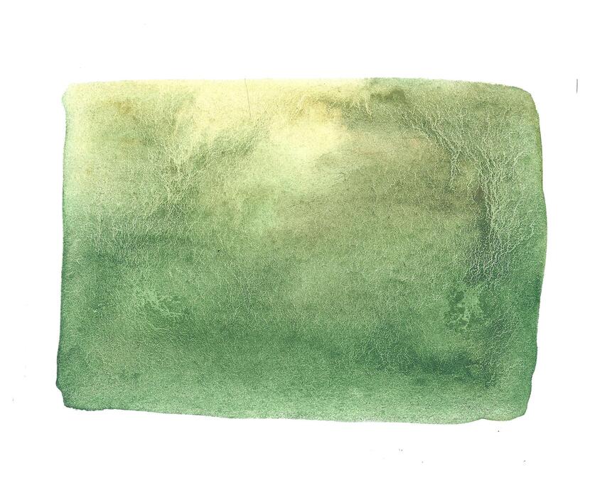 Sage Green Watercolor Stock Photos, Images and Backgrounds for Free ...