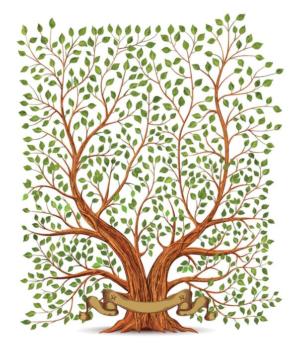 Vintage Family Tree Clip Art Family Tree With Frames Hi Res Stock