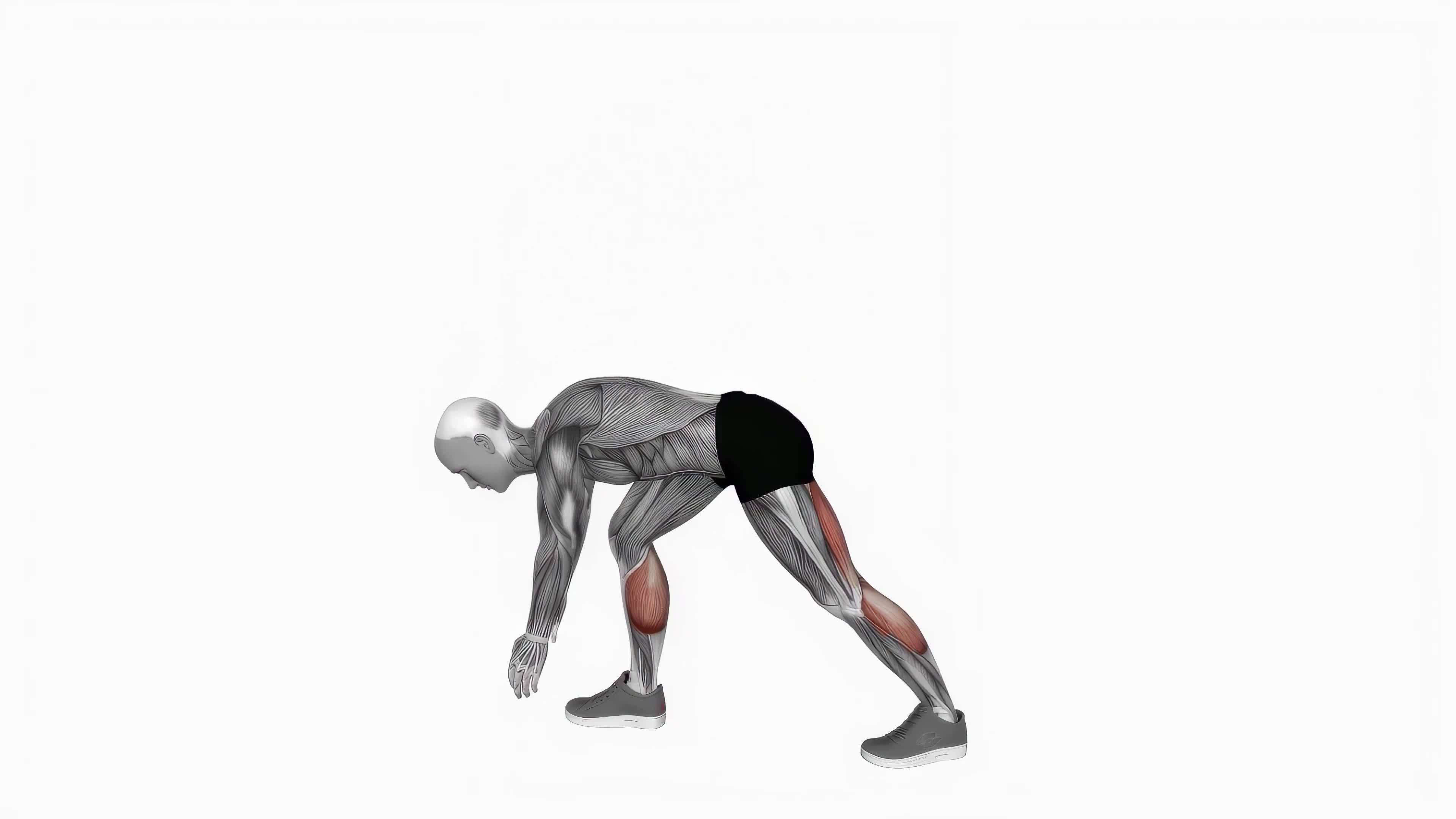 Crouching heel back calf stretch fitness exercise workout animation ... Crouching heel back calf stretch fitness exercise workout animation ...
