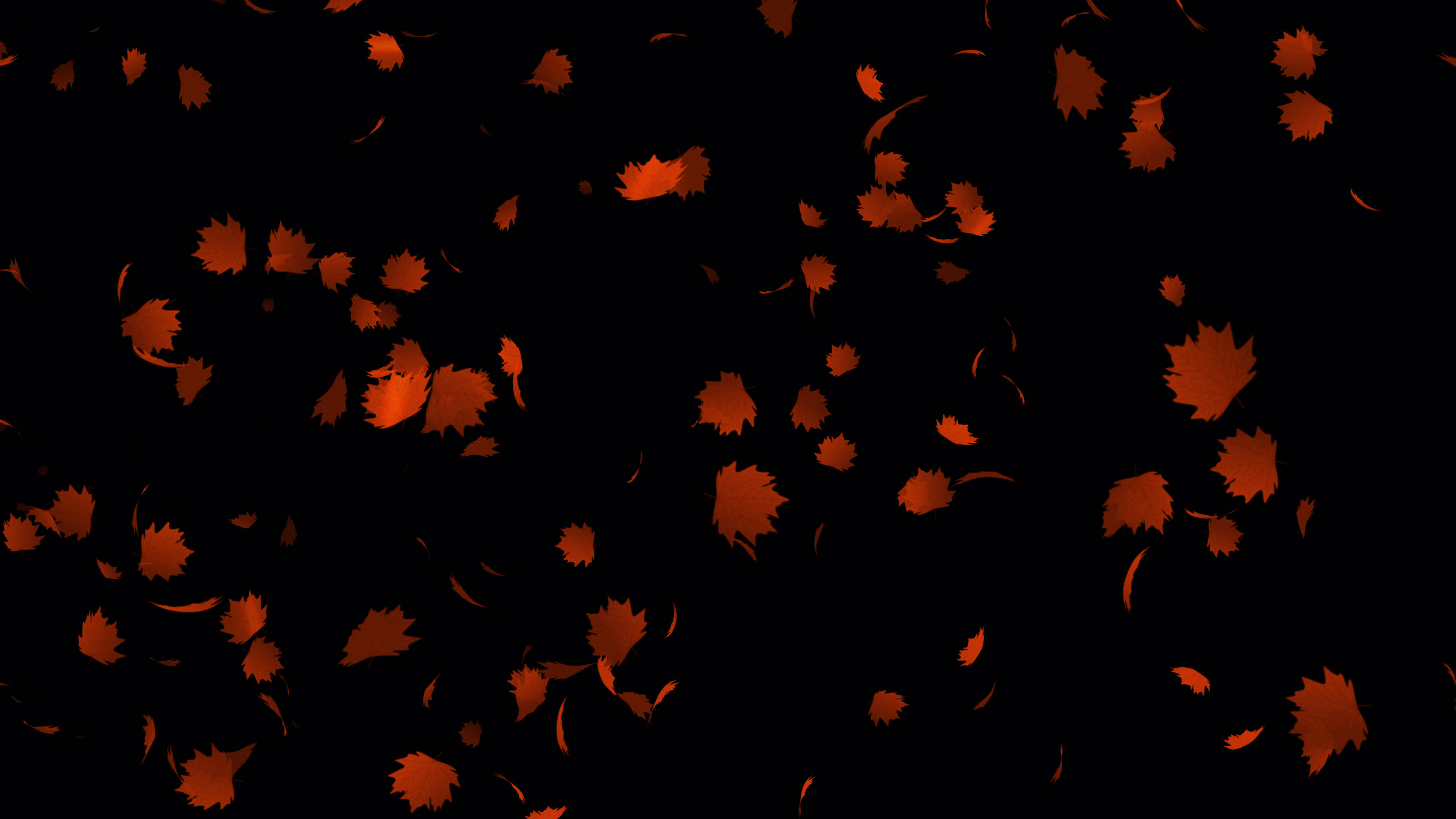 Orange maple leaves animation in 4K Ultra HD, Beautiful leaves falling animation with ...
